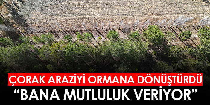 Bayburt'ta çorak araziyi ormana dönüştürdü | Trabzon Haber - Haber61