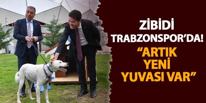 Zibidi Trabzonspor’da! “Artık yeni yuvası var” | Haber61 - Trabzon Haber