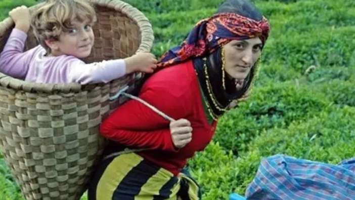 Asıl Lazlar nerelidir? Kökleri ve Kültürel Miras | Haber61 - Trabzon Haber