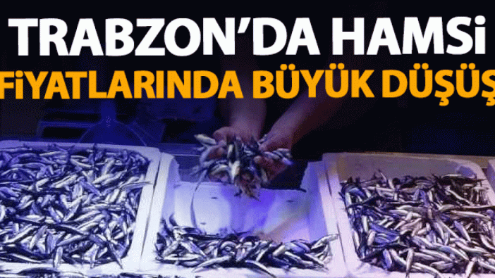 Trabzon'da hamsi fiyatı ne kadar? Düşüş vatandaşı sevindirdi | Trabzon ...