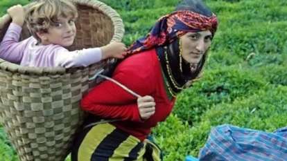 Asıl Lazlar nerelidir? Kökleri ve Kültürel Miras | Haber61 - Trabzon Haber
